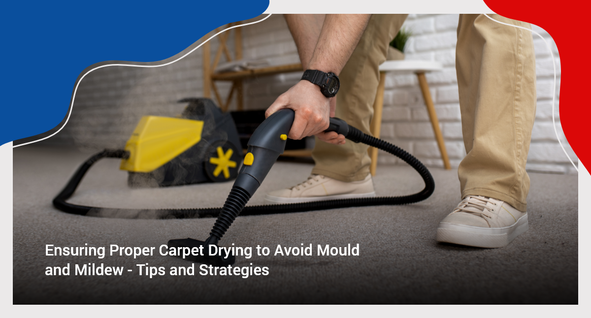 Ensuring Proper Carpet Drying to Avoid Mould and Mildew - Tips and ...